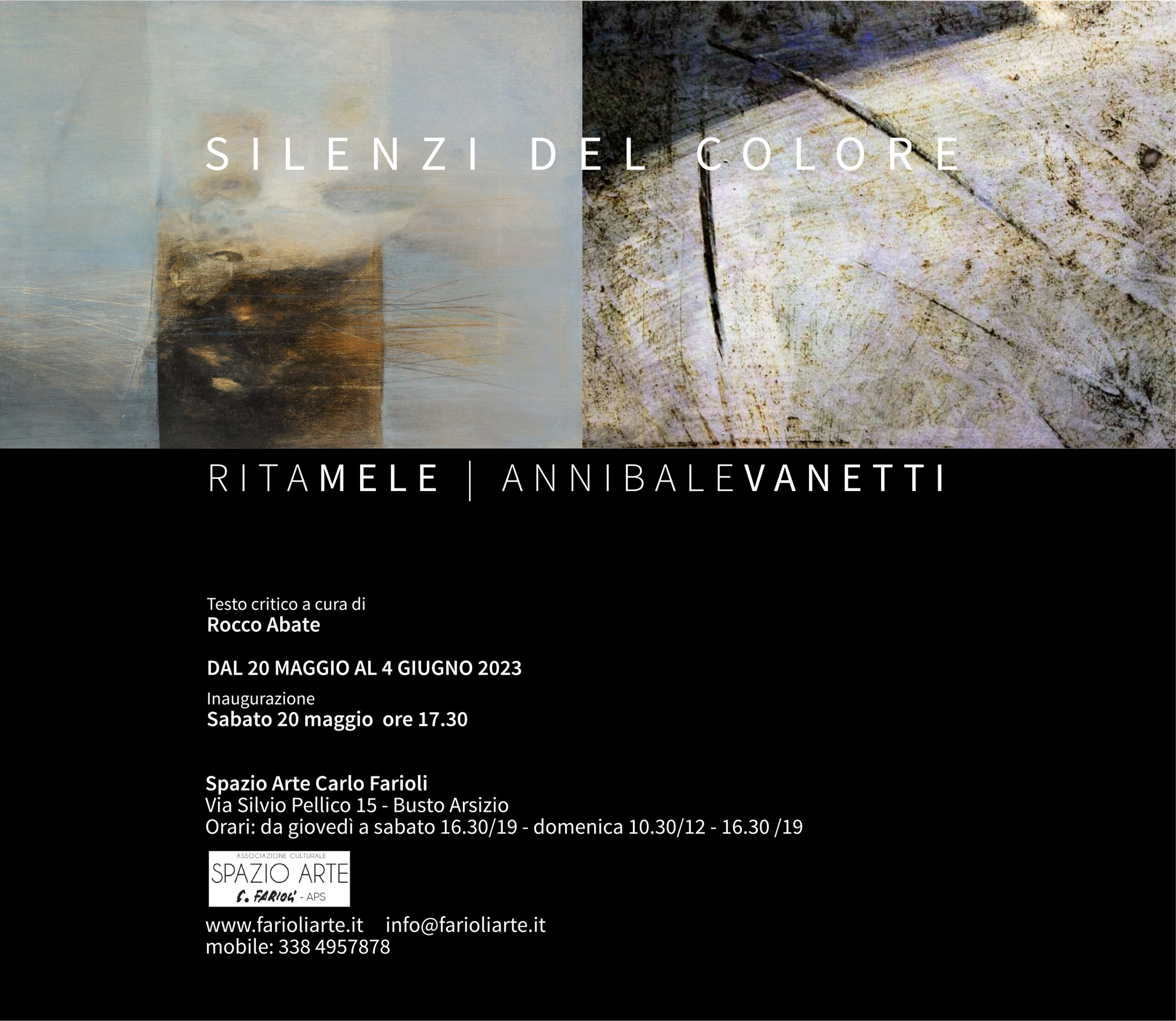 Silenzi del colore - Spazio Arte Farioli